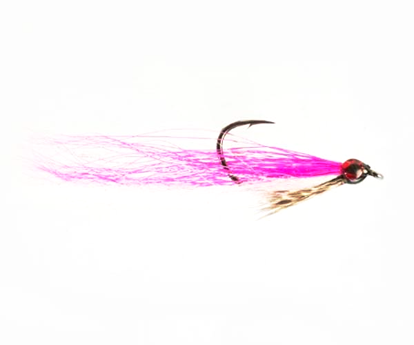 Drop shot minnows – Peaks Fly Fishing