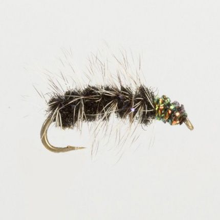 Caterpillar Black – Peaks Fly Fishing