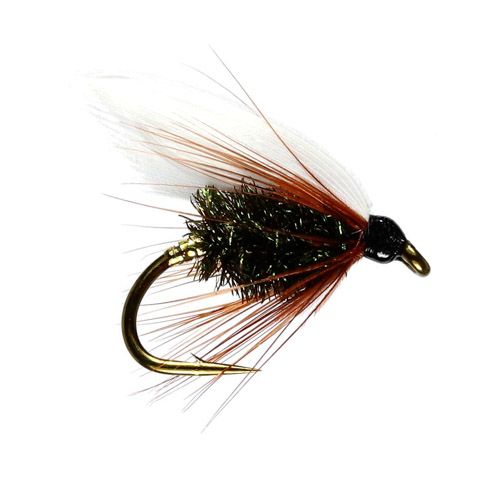 Coachman Winged Wet Fly – Peaks Fly Fishing